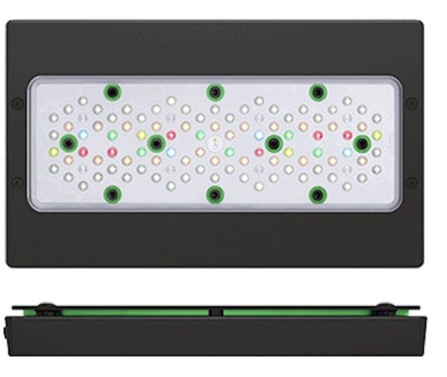 Radion XR15 and XR30 Gen 5 Now Available with Freshwater Spectrum ...