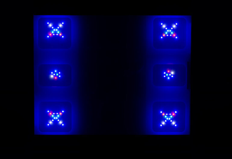 New Alpha LED Lamp from PacificSun | Reef Builders | The Reef and ...