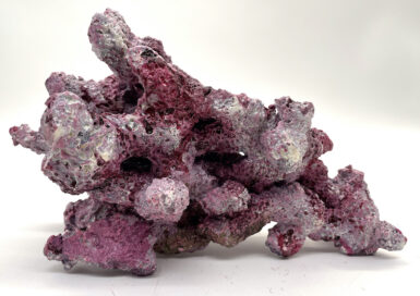 Tropic Eden Pukani Rock is a Clone of the Real Thing | Reef Builders ...