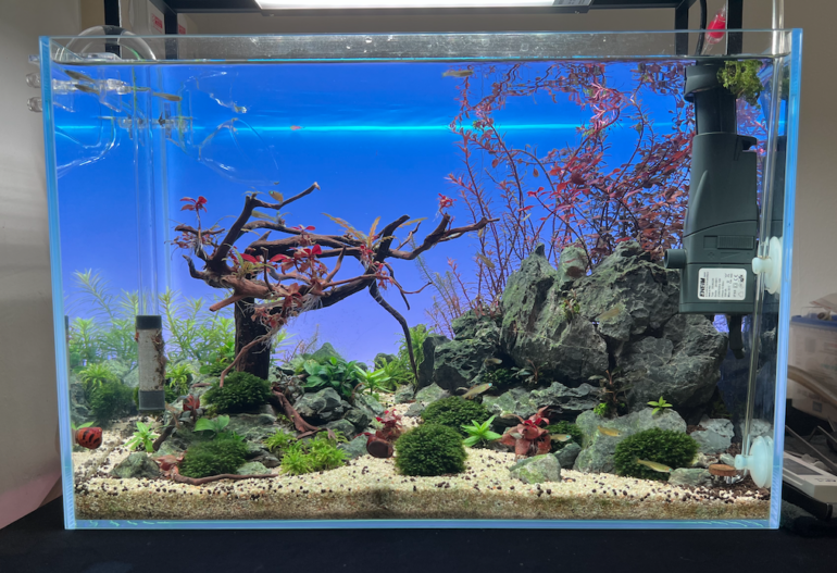 Flux Aqua’s Chroma offers 16.8million Background Colours | Reef ...