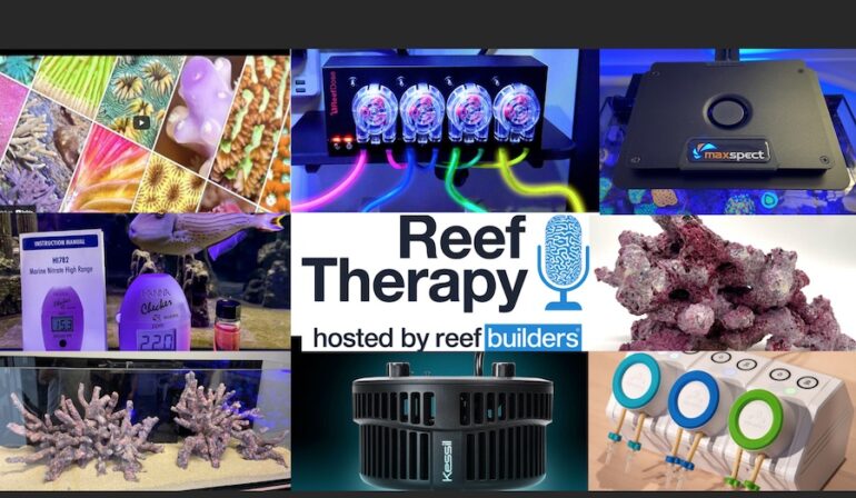 Top 10 New Aquarium Products of 2021 | Reef Builders | The Reef and ...