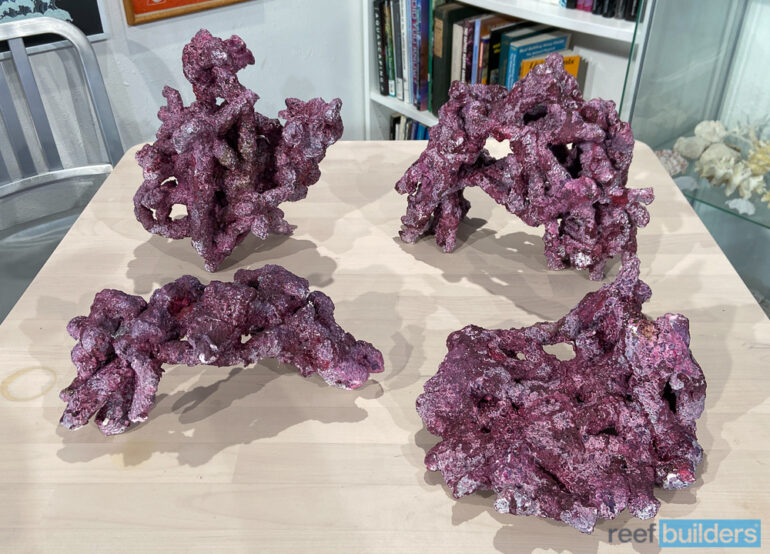 Tropic Eden Morroca Makes us Excited About Reef Rock Again | Reef ...