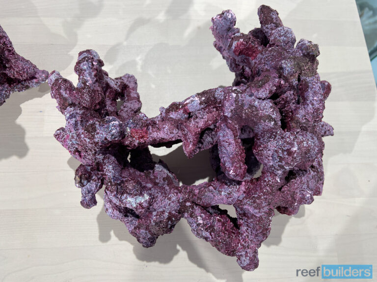 Tropic Eden Morroca Makes us Excited About Reef Rock Again | Reef ...