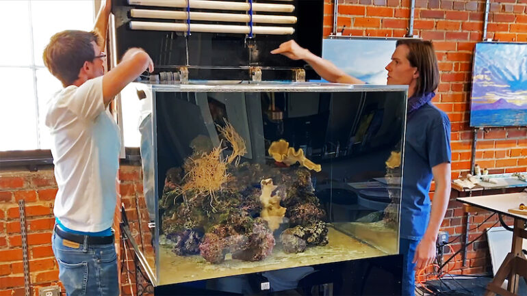 Moving a 15 Year Old Full Reef Tank Setup | Reef Builders | The Reef ...