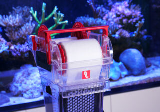 Reef Raft USA plans to set the coral market on fire with some super hot ...