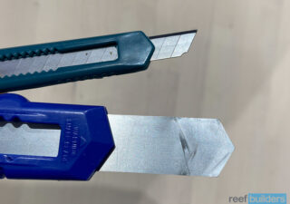 Tag: Red Sea | Reef Builders | The Reef and Saltwater Aquarium Blog