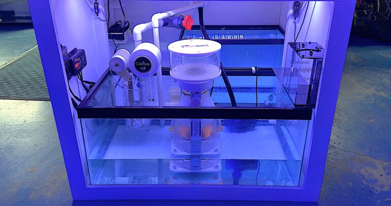 What you need to know about Sumps and Overflows | Reef Builders | The ...