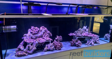 Abyzz Flow Cannon AFC 150 Review: Good for 20 Feet of Flow | Reef ...