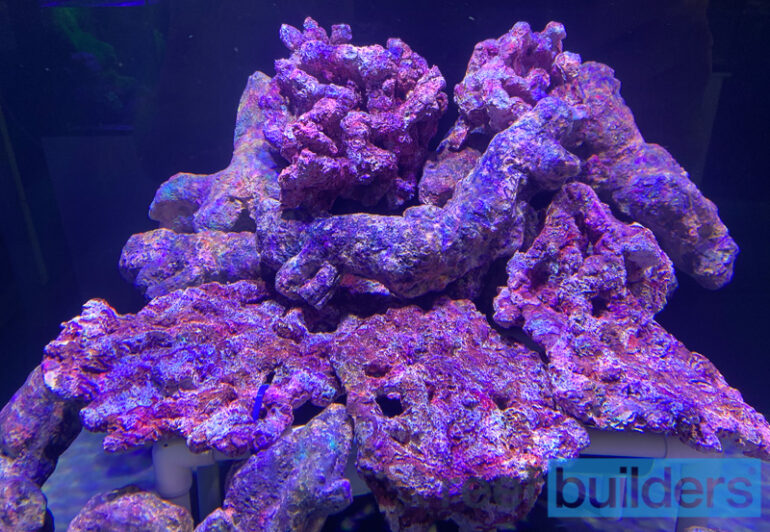 The Most ‘Natural’ Aquascape is Built With a Variety of Rocks | Reef ...