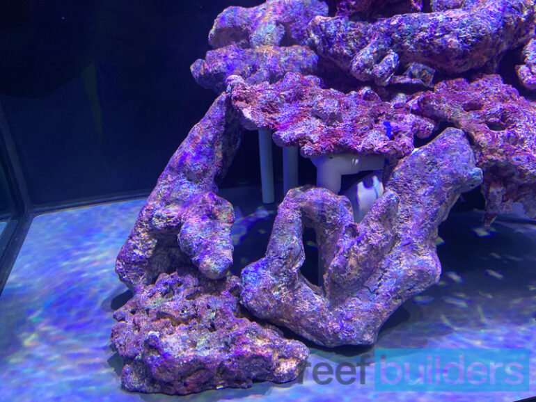The Most ‘Natural’ Aquascape is Built With a Variety of Rocks | Reef Builders | The Reef and ...