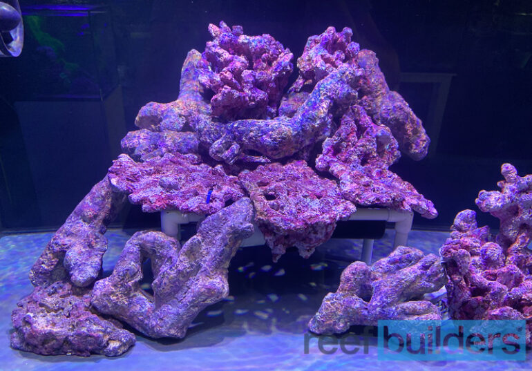 The Most ‘Natural’ Aquascape is Built With a Variety of Rocks | Reef Builders | The Reef and ...