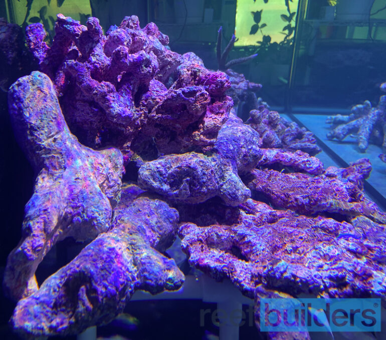 The Most ‘Natural’ Aquascape is Built With a Variety of Rocks | Reef ...