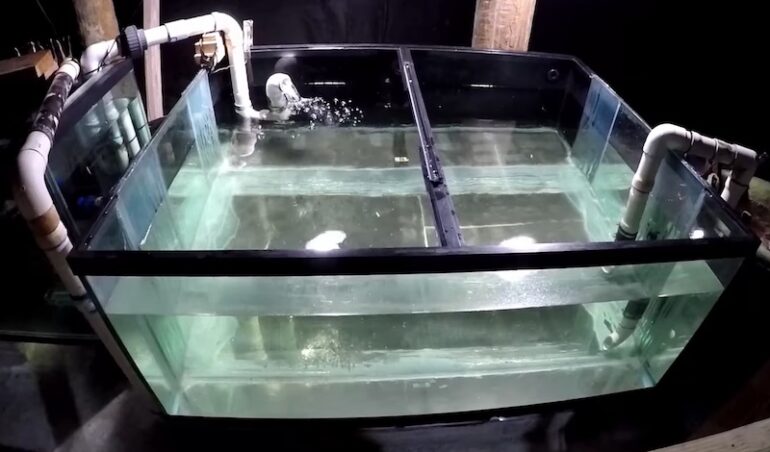 The Frankentank - Building One Large Tank from Two Smaller Ones | Reef ...