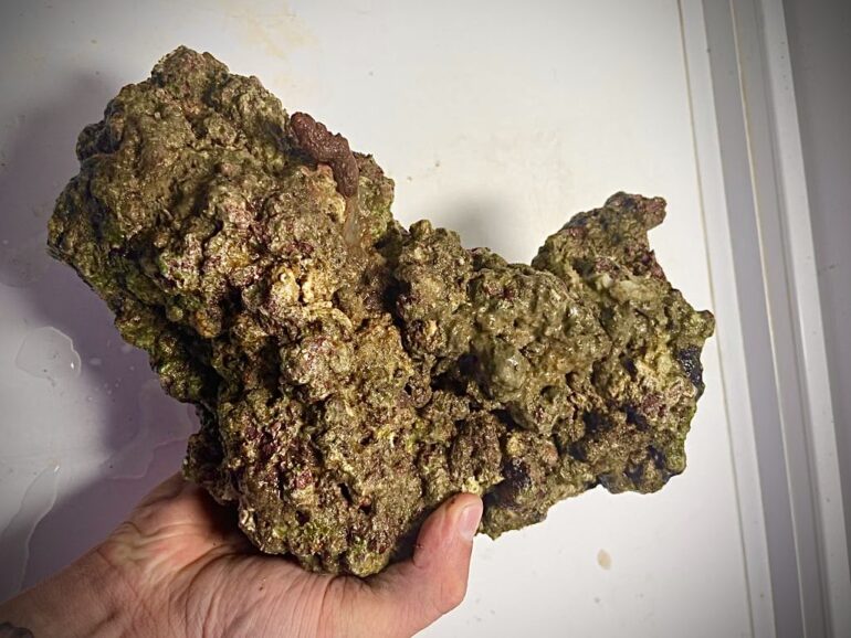 Reef Rock 2.0 live rock lands at Advanced Aquarium Consultancy | Reef ...