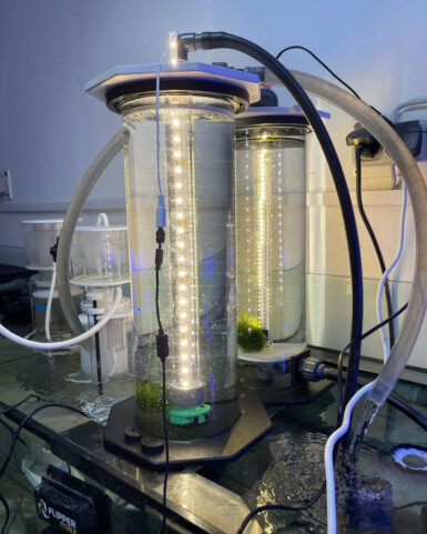 Deltec goes green with the AR 2000 Algae Reactor | Reef Builders | The Reef and Saltwater ...