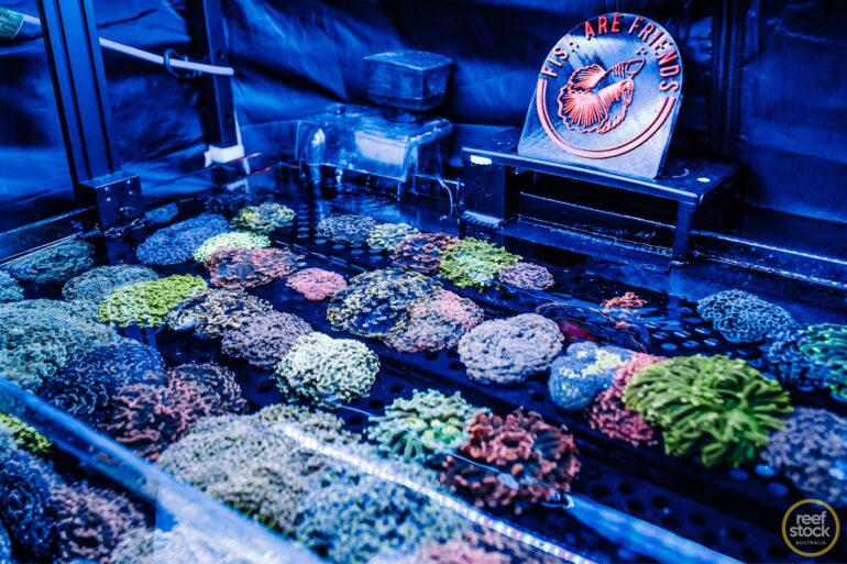 ReefStock Australia is a big success down under | Reef Builders | The ...