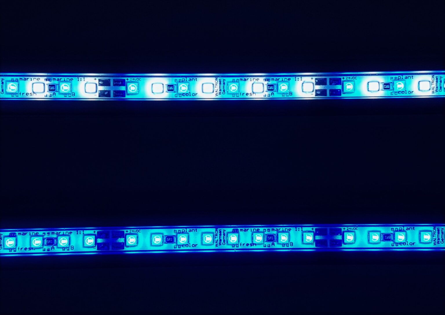 Daytime Onex brings LED versatility to closed aquariums | Reef Builders ...