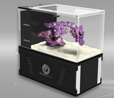 MicroTank Artisan P1-G is Oceanbox Design’s tiny 1-gallon wonder | Reef ...