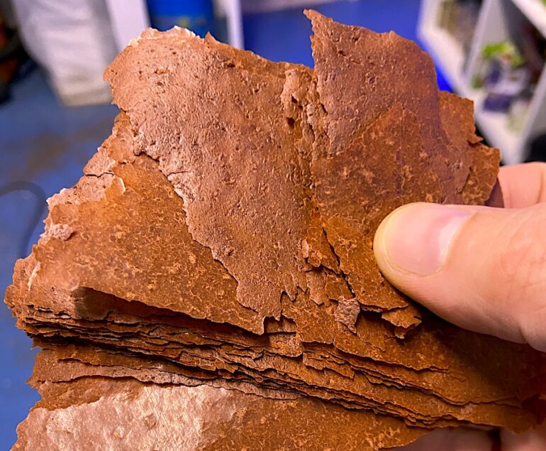 This is what Flake Food SHOULD Look Like | Reef Builders | The Reef and ...