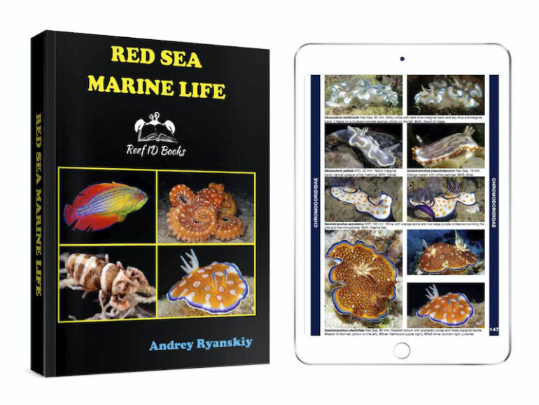 Red Sea Marine Life Book Now Available from Andrey Ryanskiy | Reef ...