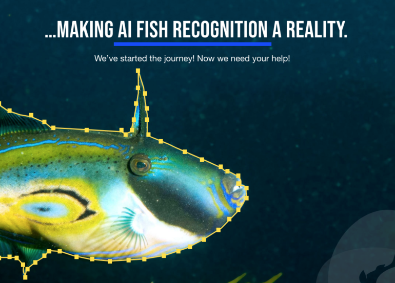 Fishial Project uses artificial intelligence to identify fish | Reef ...