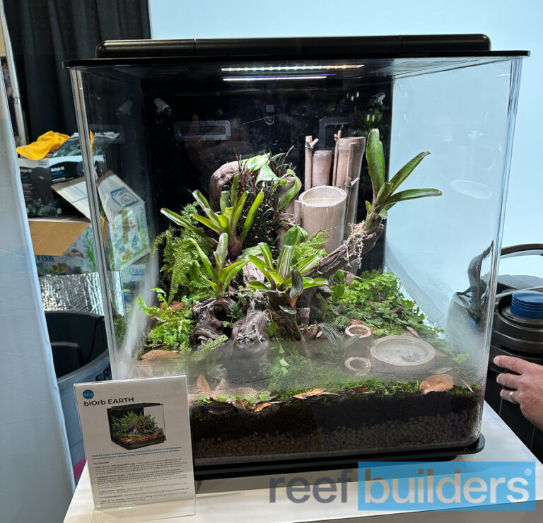 The Biorb Earth is Giving us All In One Envy | Reef Builders | The Reef ...
