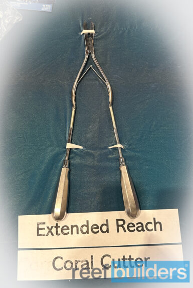 Nothing can Stop Extended Reach Coral Cutters | Reef Builders | The ...