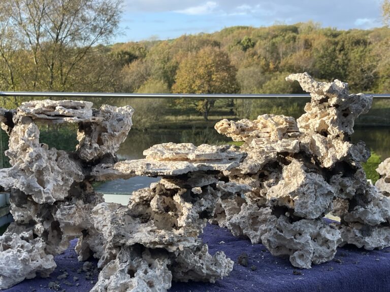 Getting to grips with reef cement | Reef Builders | The Reef and ...