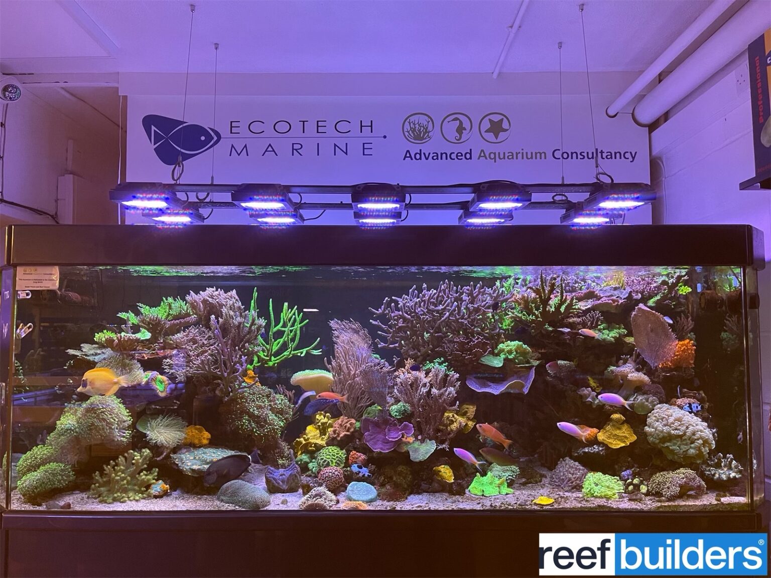 Make AAC part of your saltwater fish store Grand Tour | Reef Builders ...