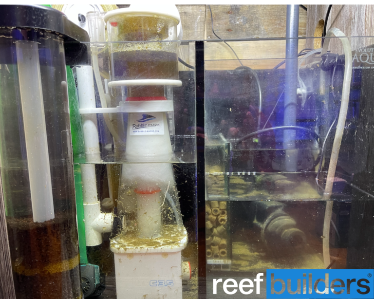 Bubble Magus C3.5 Protein Skimmer: The 10-year review | Reef Builders ...