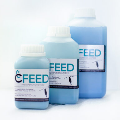 Are Resting Copepod eggs the next Aquaculture revolution? | Reef ...