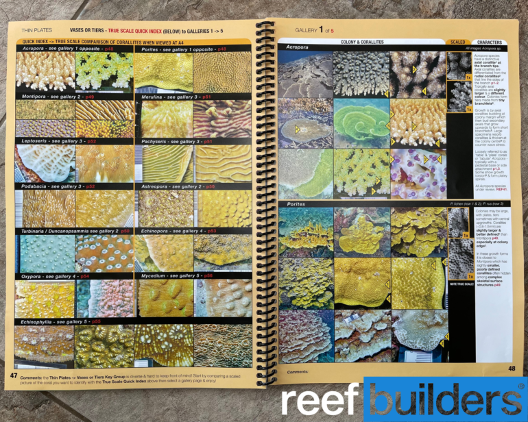 We’ve been on a coral ID course. Here’s why you should too. | Reef ...