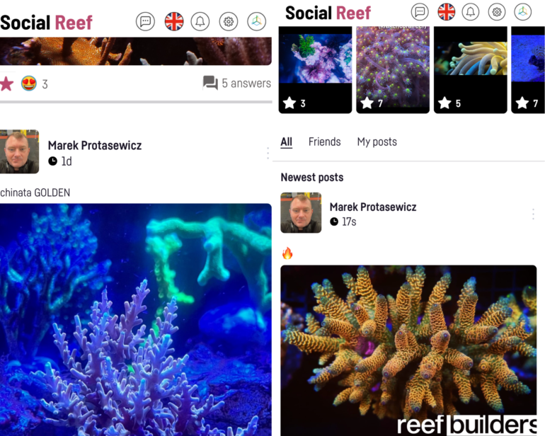 Reef Factory to launch Social Reef portal | Reef Builders | The Reef ...