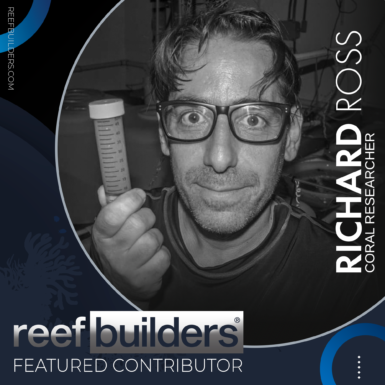 Richard Ross joins the all-star lineup of new Reef Builders ...