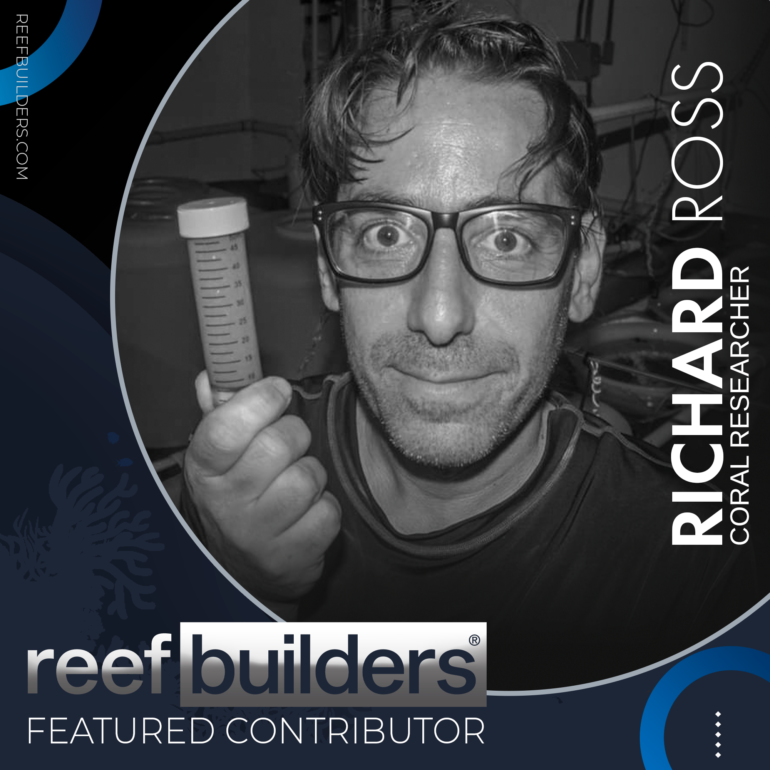 Richard Ross joins the all-star lineup of new Reef Builders ...
