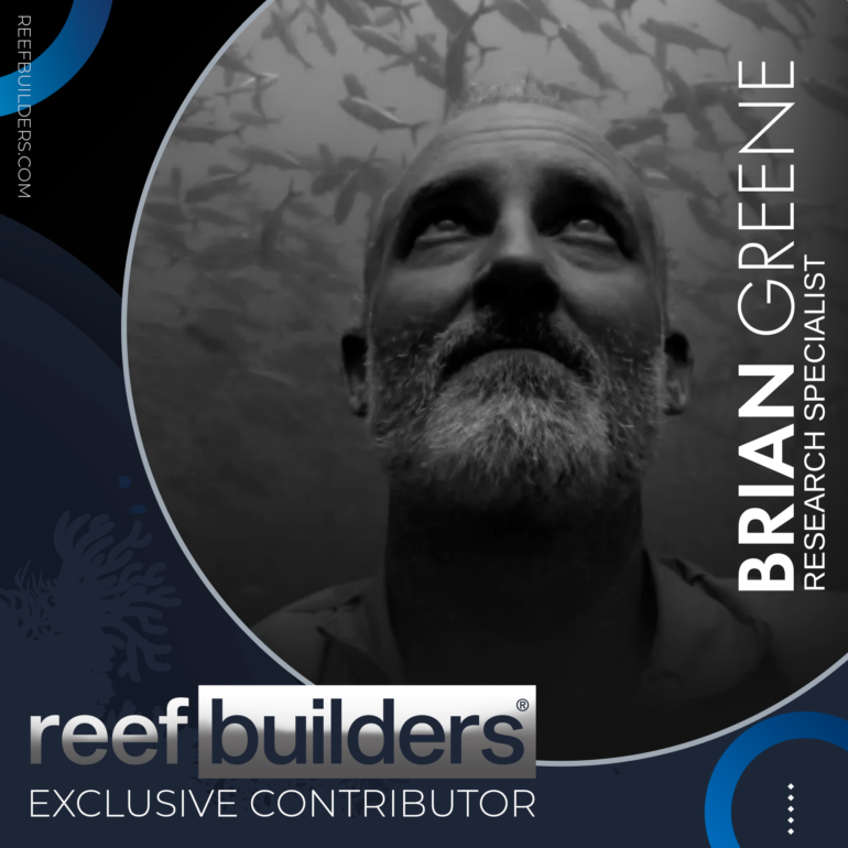 Reef Builders goes in depth with Brian D.Greene | Reef Builders | The ...