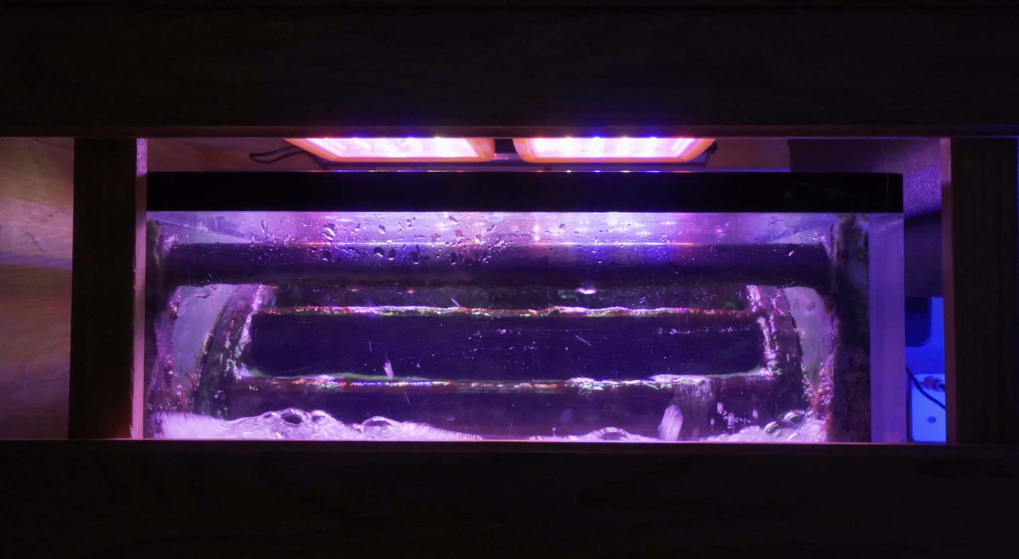 Eco-Wheel Reef Tank Filter has been running for 21 Years! | Reef ...