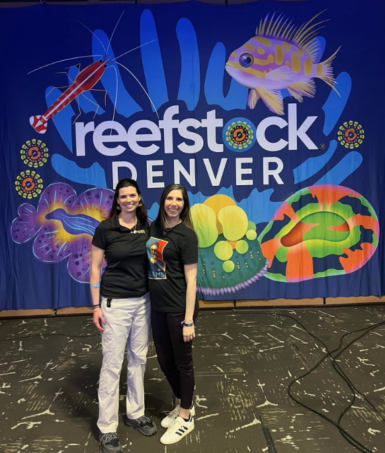 Reef Builders celebrates International Women’s Day | Reef Builders ...