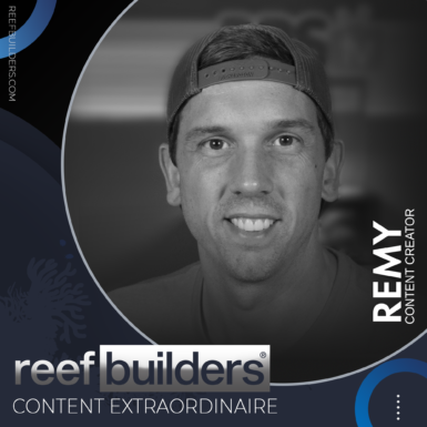 Remy joins Reef Builders! | Reef Builders | The Reef and Saltwater ...