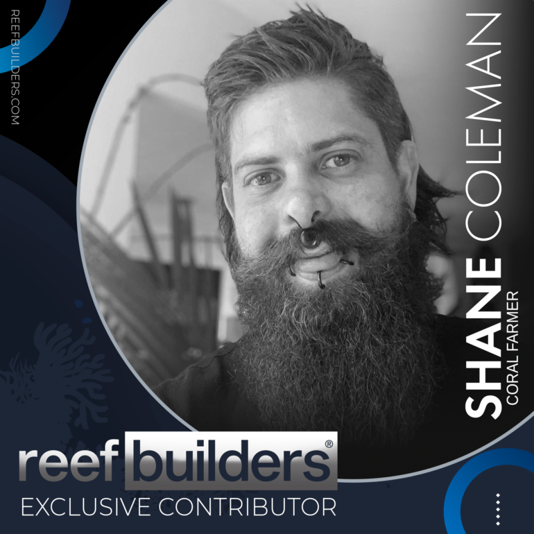 Shane Danger Coleman joins Reef Builders! | Reef Builders | The Reef ...