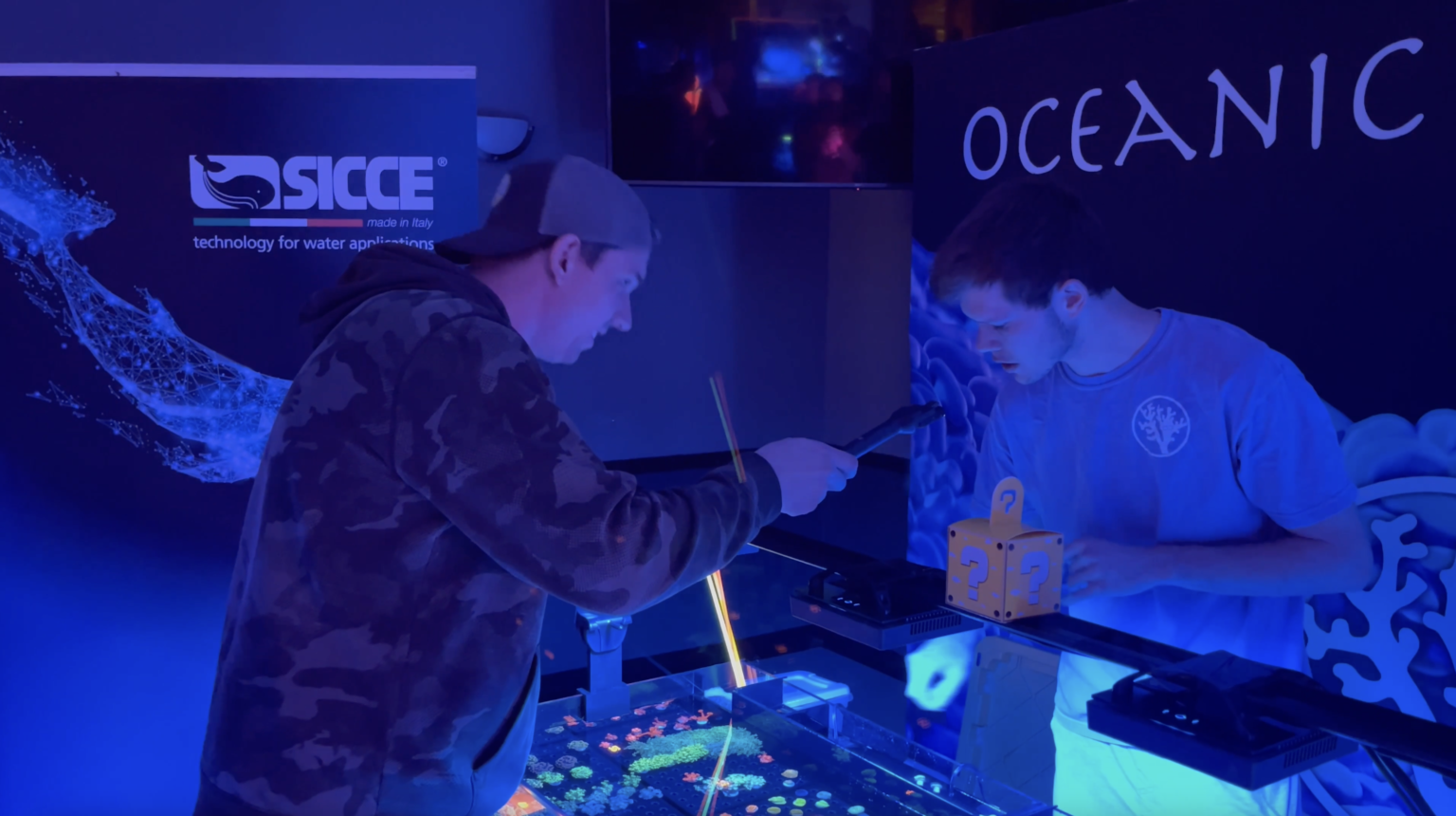 Stellar, simple soft coral and LPS tank is a masterpiece of father and ...