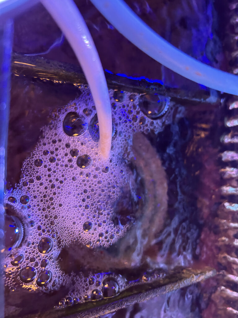 Improving Carbon Dioxide and pH Management | Reef Builders | The Reef ...