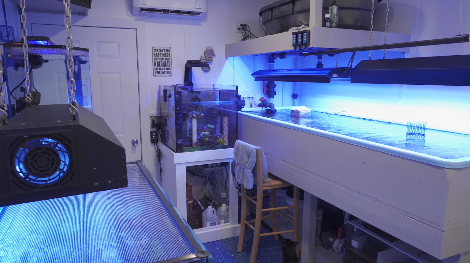 Doug’s Perfectly Designed Fish Room & Stunning Custom Reef Tank | Reef ...