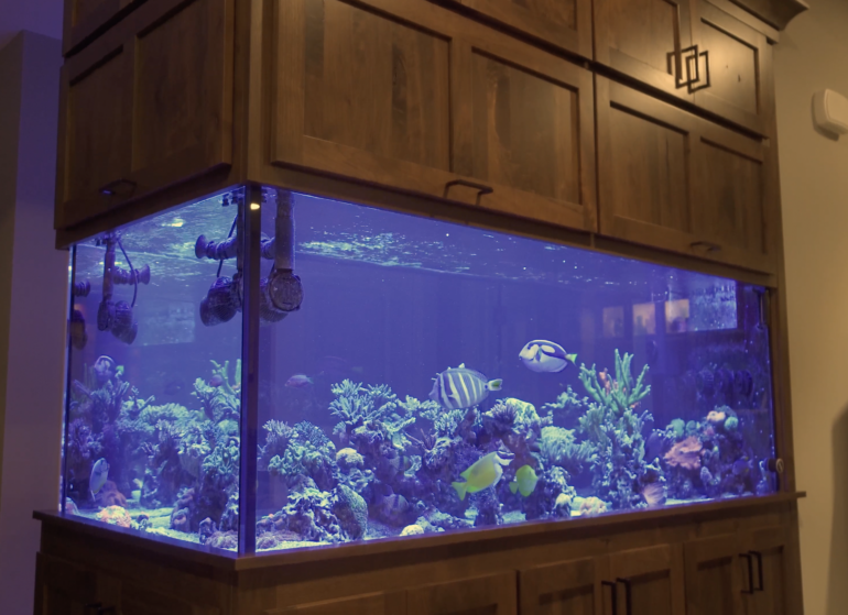 Doug’s Perfectly Designed Fish Room & Stunning Custom Reef Tank | Reef ...