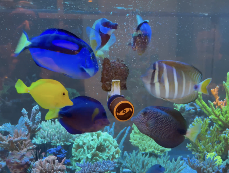 Doug’s Perfectly Designed Fish Room & Stunning Custom Reef Tank | Reef ...