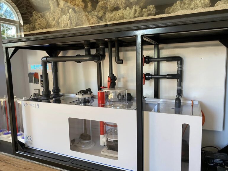 What you need to know about Sumps and Overflows | Reef Builders | The ...