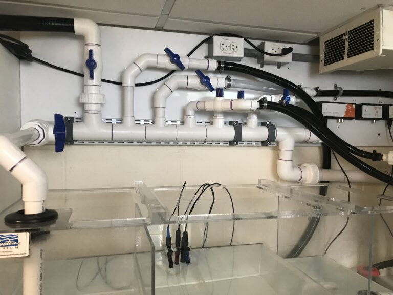 Necessary Planning for a Successful Reef Tank | Reef Builders | The ...