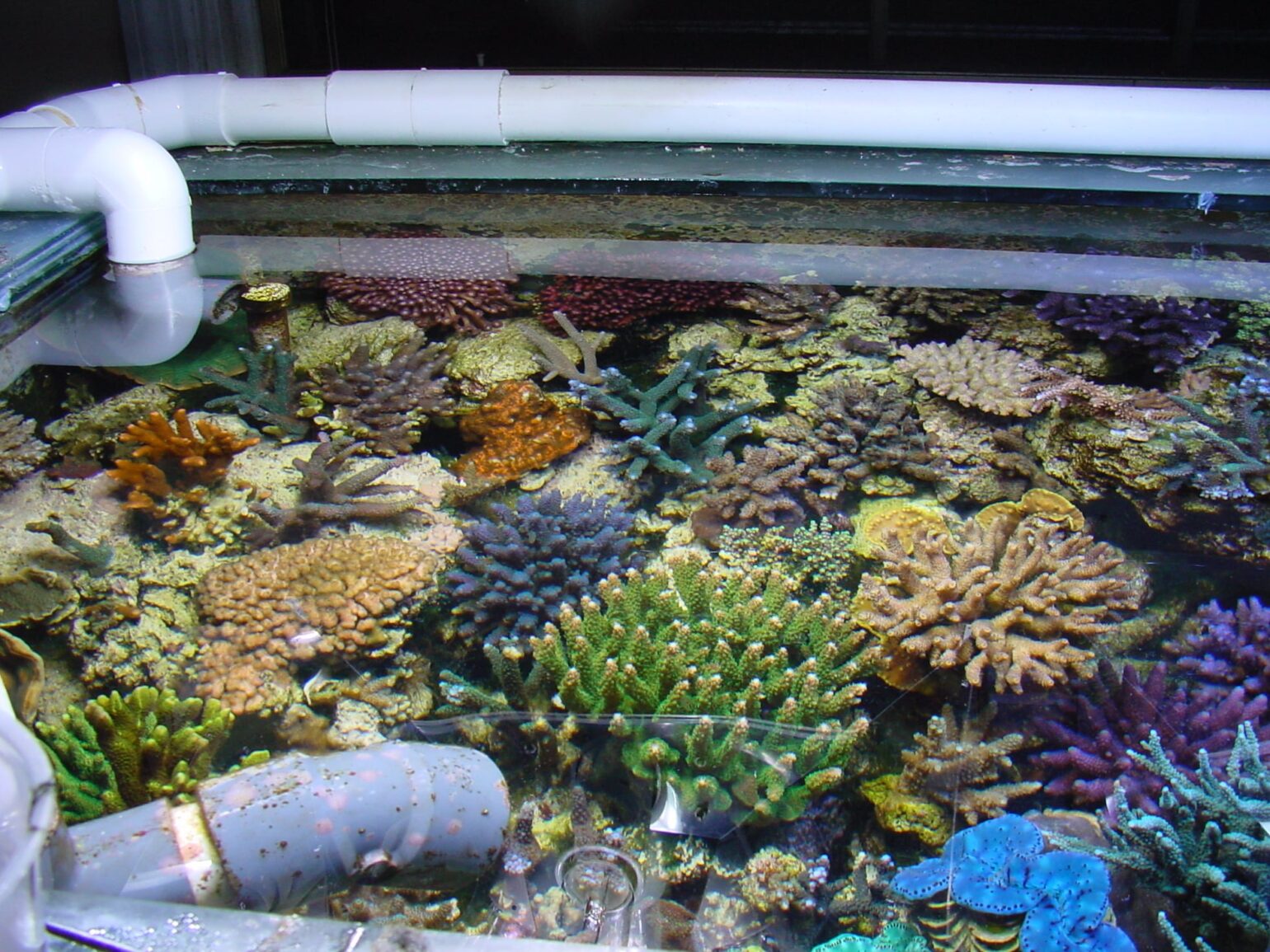 Understanding lighting | Reef Builders | The Reef and Saltwater ...