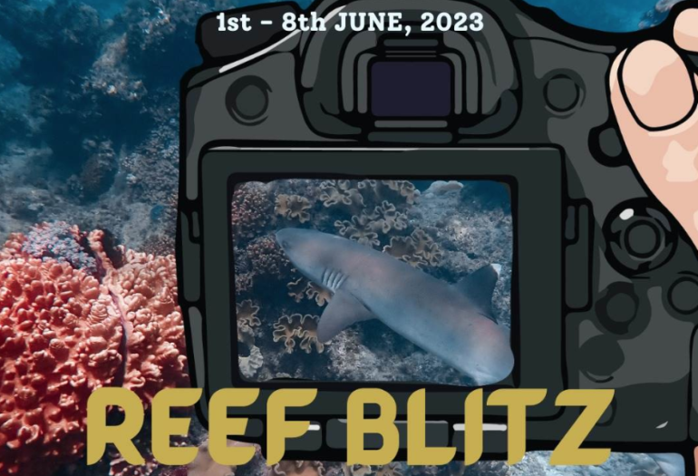 Join Reef Blitz 2023 this week on the Great Barrier Reef | Reef ...