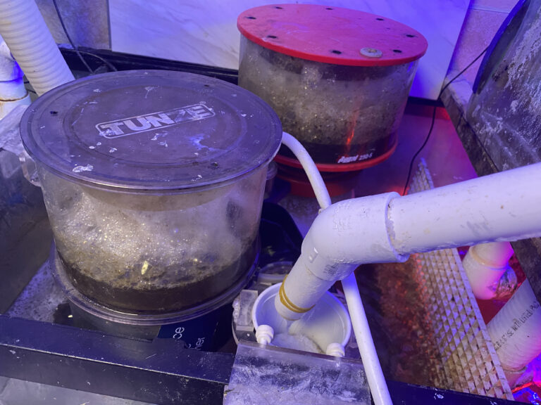 Paletta on Protein Skimming | Reef Builders | The Reef and Saltwater ...